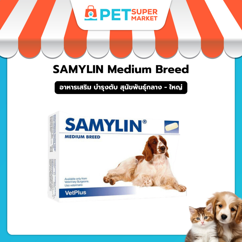 ขายดี Samylin Medium breed อาหารเสริม บำรุงตับ สุนัขพันธุ์กลาง-ใหญ่ ของ ...