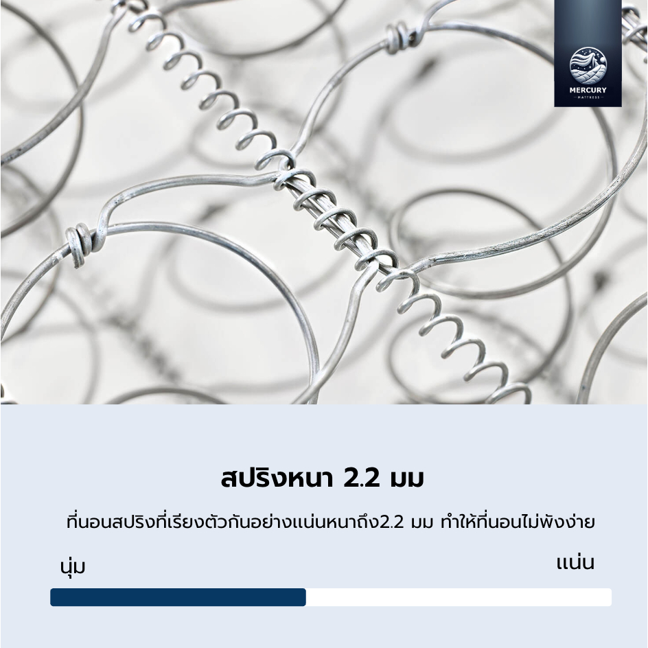 Mercury Mattress ที่นอนสปริงพรีเมี่ยม รุ่น WISDOM X ความหนา 9 นิ้ว นอน ...