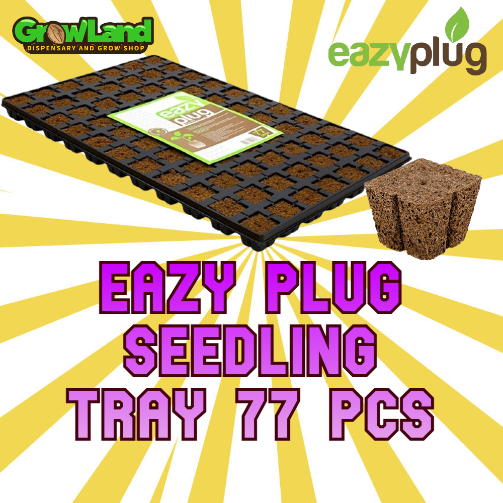EAZY Plug Tray 77 Plugs | Shopee Thailand