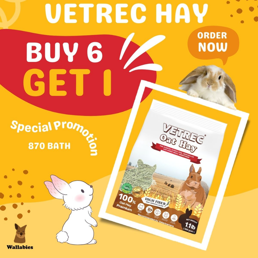 (ซื้อ6แถม1) VETREC HAY 500g | Shopee Thailand