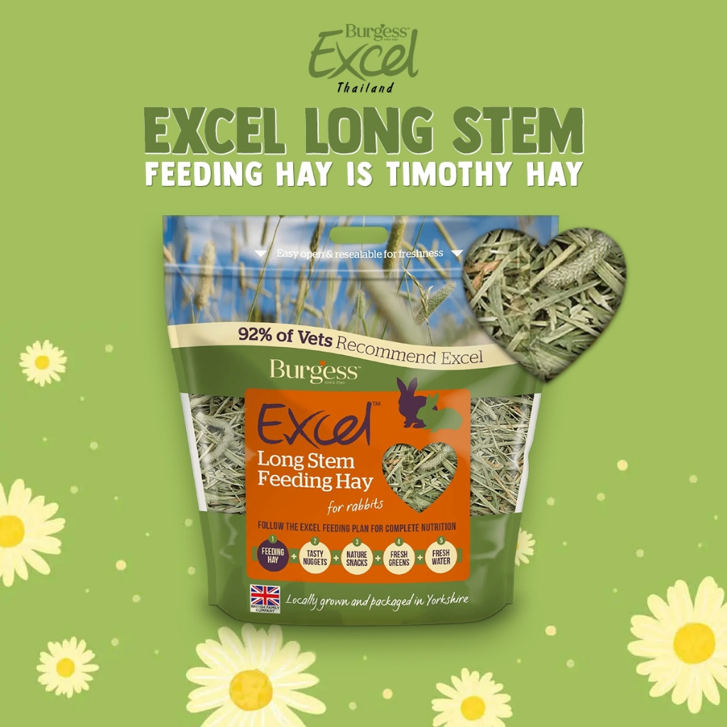 Burgess Excel Long Stem Feeding Hay 1kg | Shopee Thailand