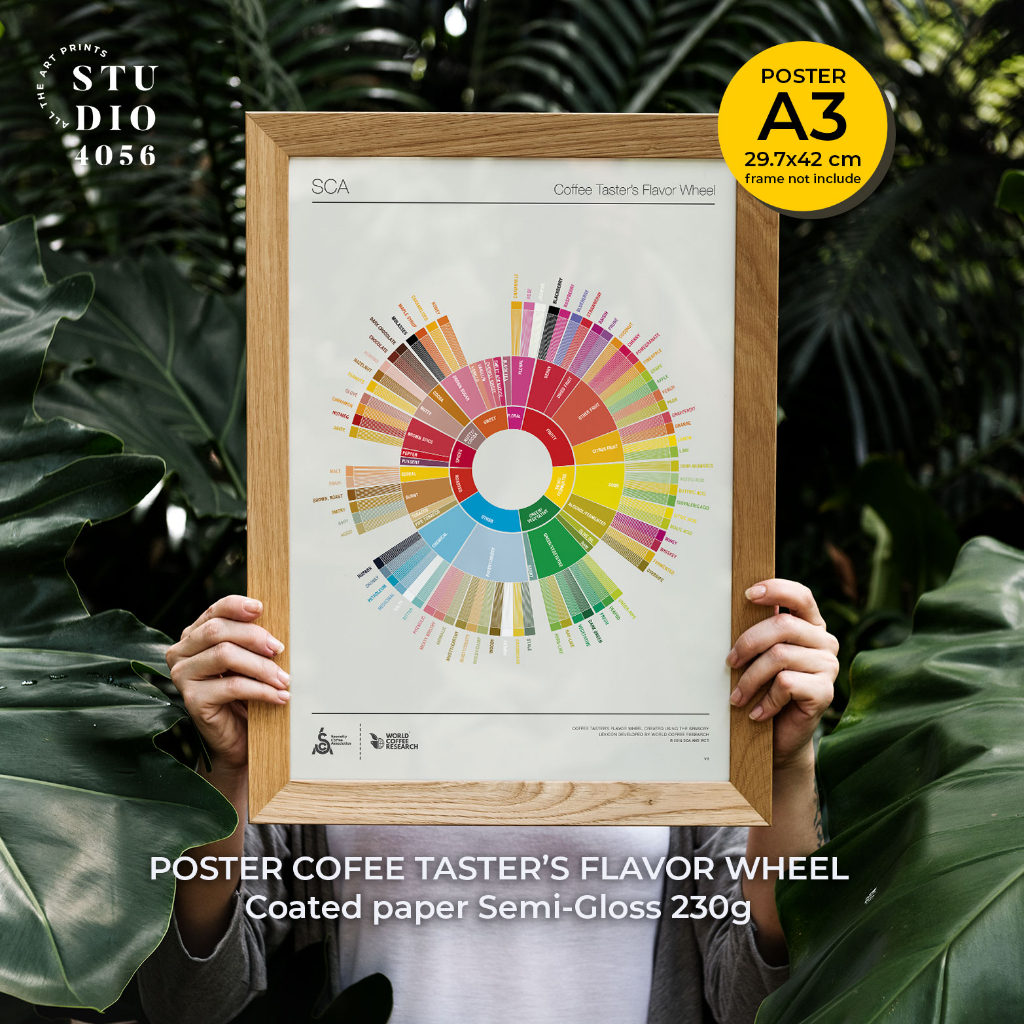 THE COFFEE TASTER'S FLAVOR WHEEL POSTER SCA (002) size A3 | Shopee Thailand