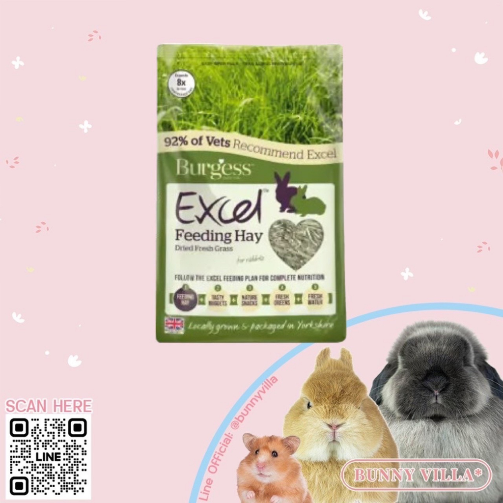 Burgess Excel Hay Range Dried Timothy Fresh Grass 1kg | Shopee Thailand