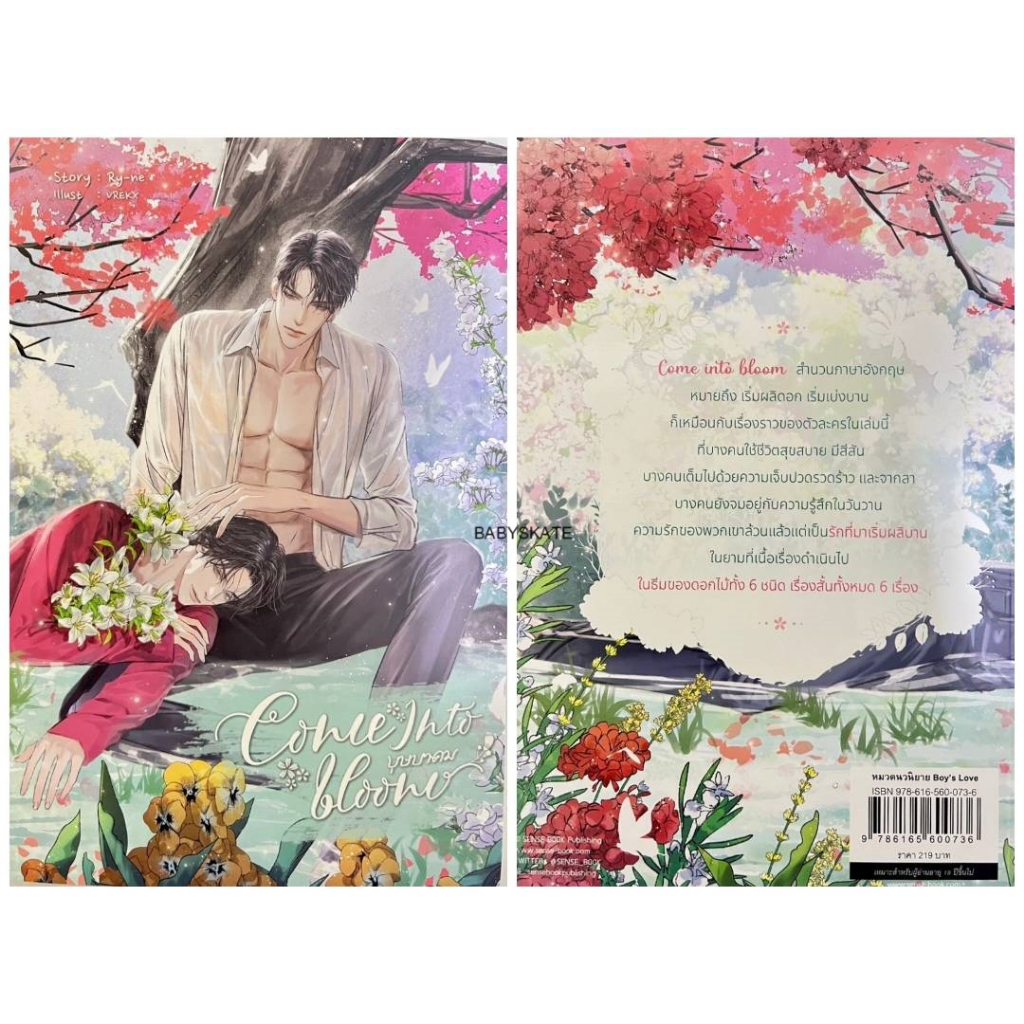 นิยายวายBoy's Love(Sense) | Shopee Thailand