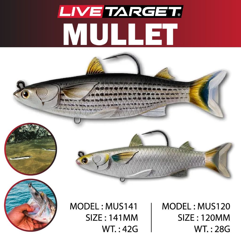 เหยื่อปลอม LIVE TARGET MULLET | Shopee Thailand