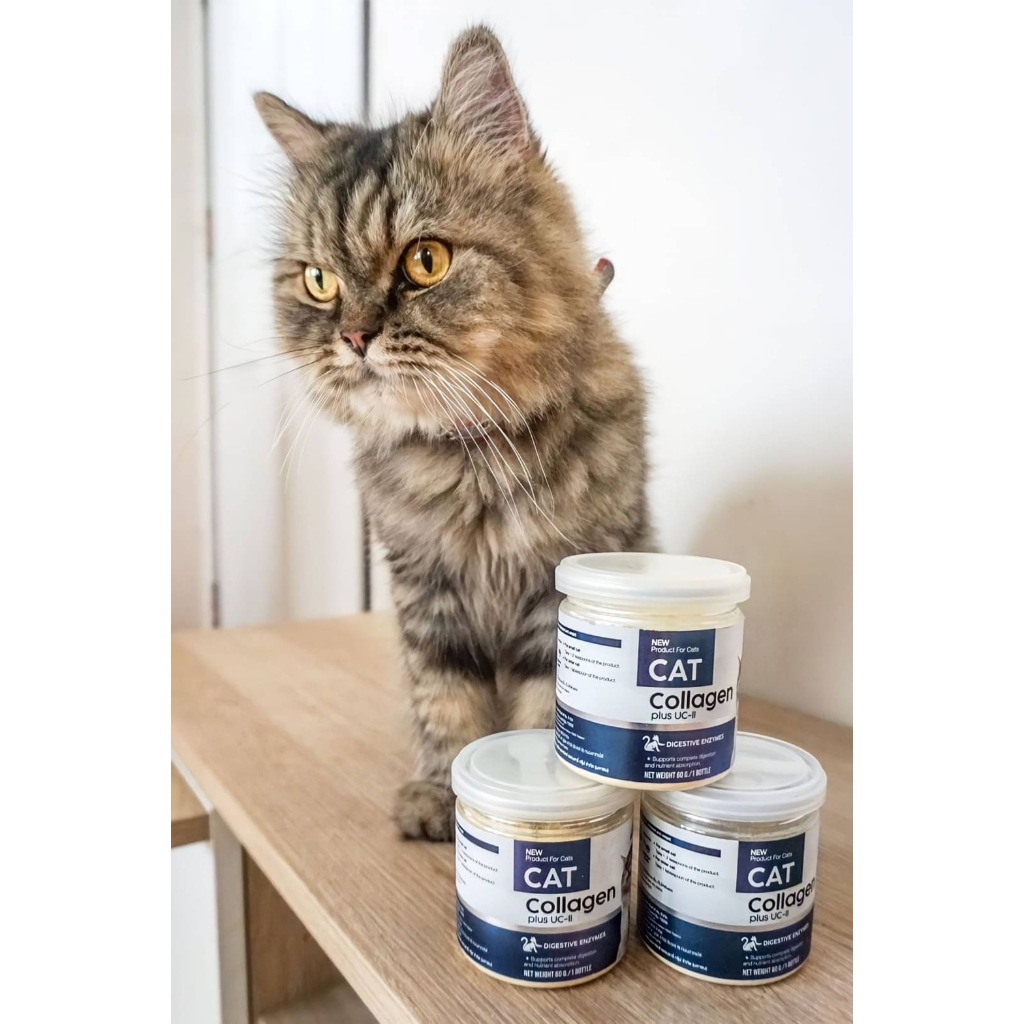 CAT COLLAGEN CATคอลลาเจนไข่เต่า เสริมอาหาร เพิ่มความอยากอาหาร แมวป่วย ...