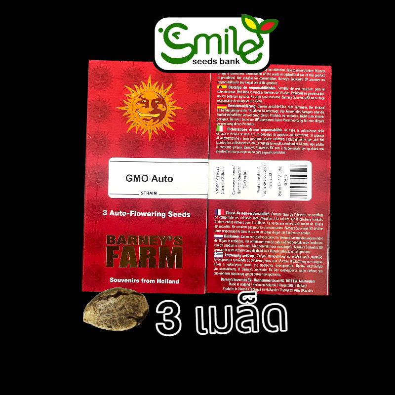 เมล็ดกัญชา GMO (Auto) - Barney’s Farm | Shopee Thailand