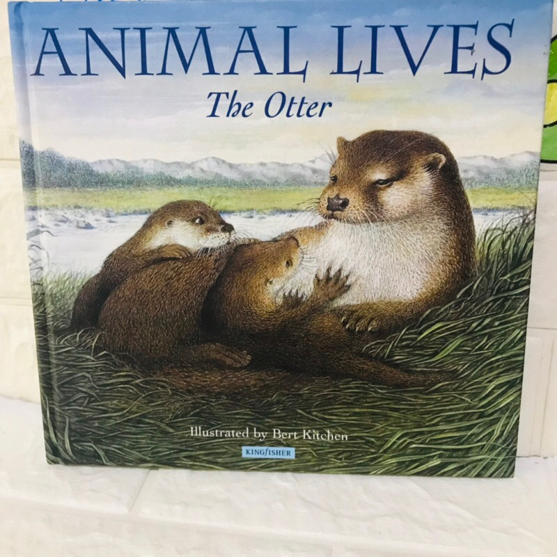 ANIMAL LIVES The Otter Illustrated by Bert Kitchen ปกแข็งมือสอง-CC2 ...