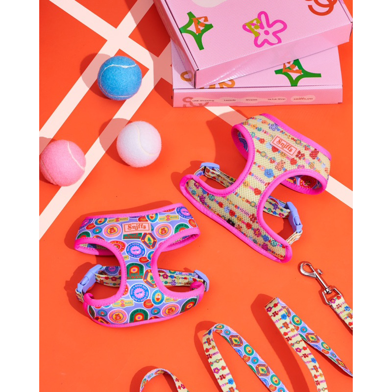 Funky Friendship Reversible Harness & Leash | Shopee Thailand
