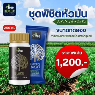 ช้อป 4tree ราคาสุดคุ้ม ได้ง่าย ๆ | Shopee Thailand