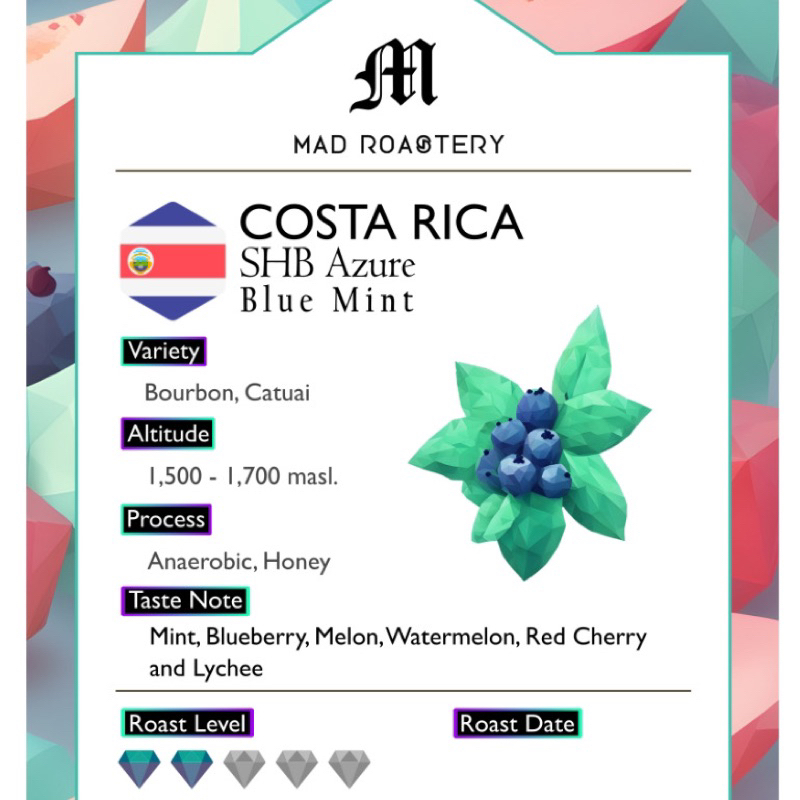เมล็ดกาแฟ คั่วอ่อน Costa Rica SHB Blue Mint ขนาด 100 กรัม 200 กรัม ...
