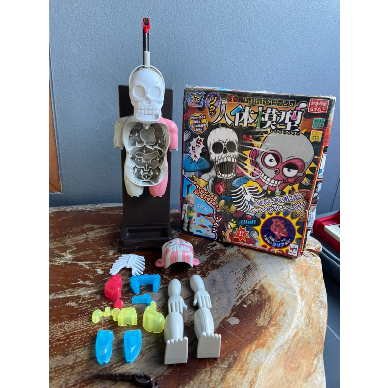 Maga House Human Body Game เกมต่ออวัยวะ ของแท้ ของเล่นอนาโตมี่ | Shopee ...