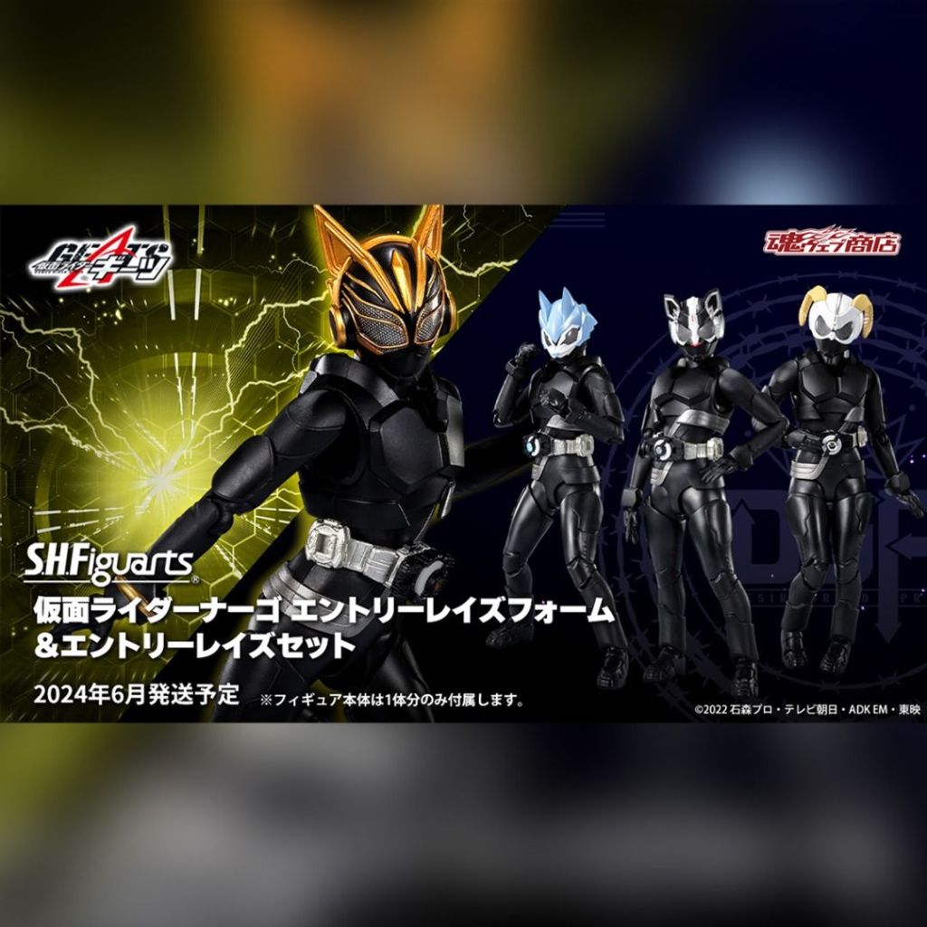 [Pre-Order] S.H.Figuarts Kamen Rider Na-Go Entry Raise Form & Entry ...