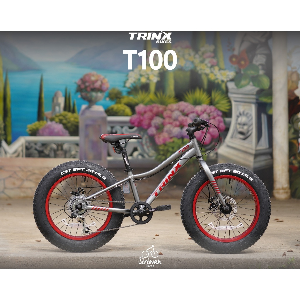 จักรยาน เสือ ภูเขา TRINX T100 เฟรม อลูมิเนียม ล้อโต20นิ้ว | Shopee Thailand