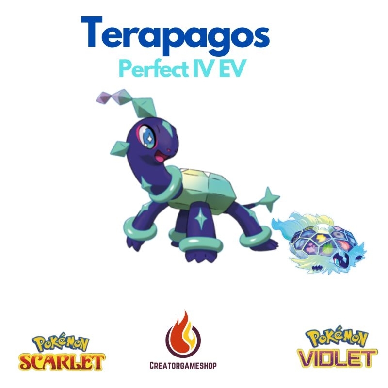 Terapagos Pokemon Scarlet and Violet The Indigo Disk New Pokemon ...