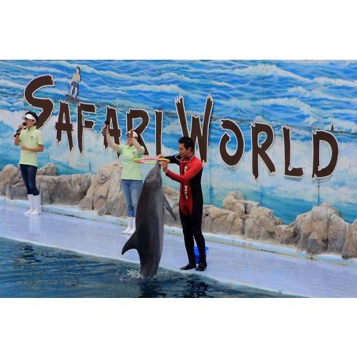 บัตร Safari World ซาฟารี เวิลด์ รวมล่องเรือ River Safari Boat Ride ...