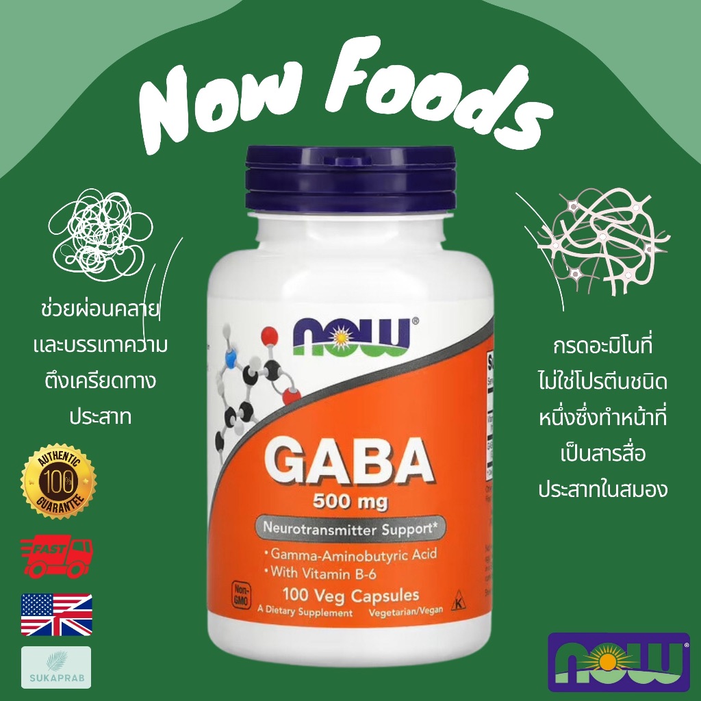 พร้อมส่ง NOW Foods GABA 500 mg 100 Veg Capsules | Shopee Thailand