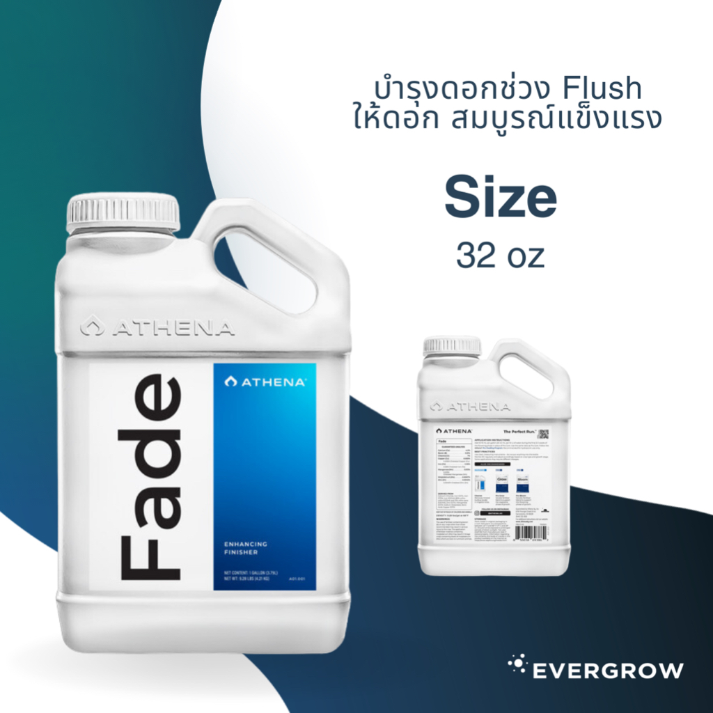 Athena Fade สำคัญมาก เพิ่มประสิทธิภาพของดอก ลดการเกิดโรคในช่วงFlush ...