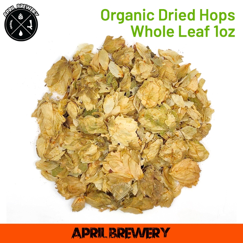 Organic Dried Hops Whole Leaf 1oz (28g) ฮอปทำเบียร์ ดอกฮอปส์ ทำเบียร์ ...