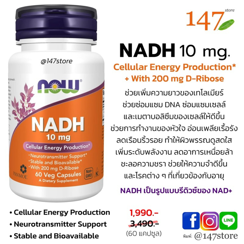 [แท้100%] NADH 10 มก. คงความอ่อนเยาว์ระดับเซลล์, With 200 mg D-Ribose 60 แคปซูล | Shopee Thailand