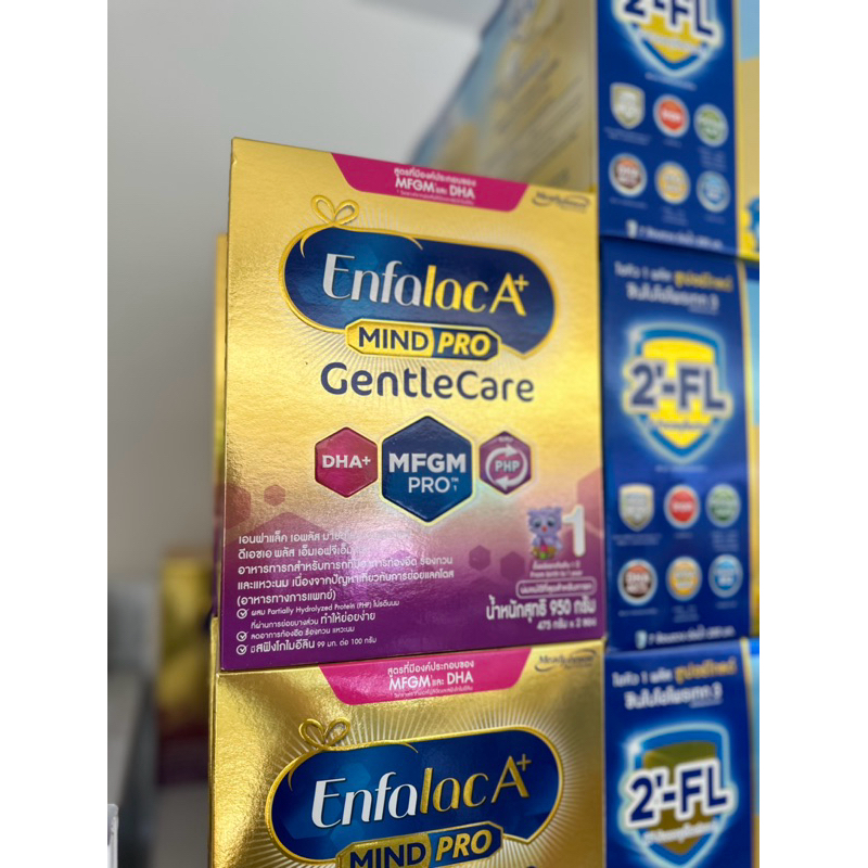 นมผง เอนฟาเจนเทิลแคร์ สูตร1 950g บรรจุ2ซอง อายุ 6/24 | Shopee Thailand