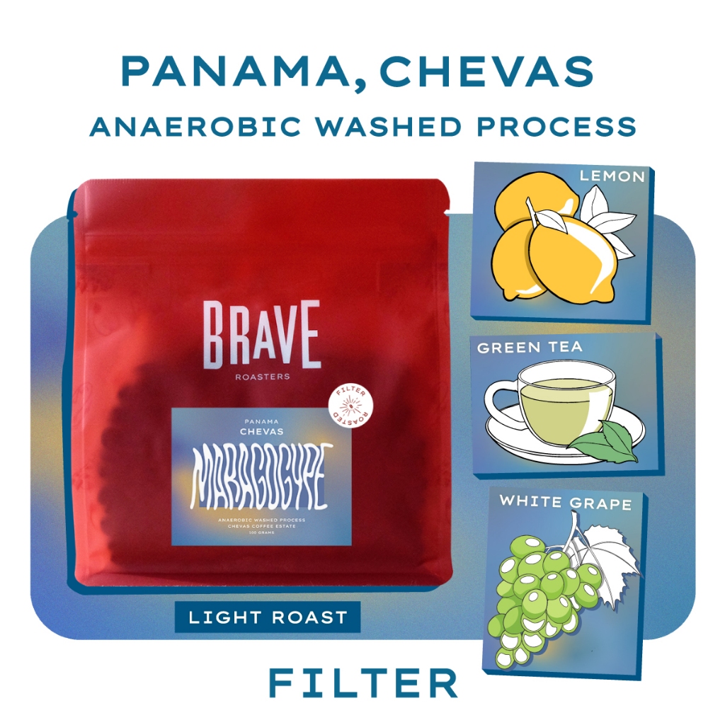 *PRE-ORDER* Panama Chevas Estate Maragogype, Anaerobic Washed 100G ...