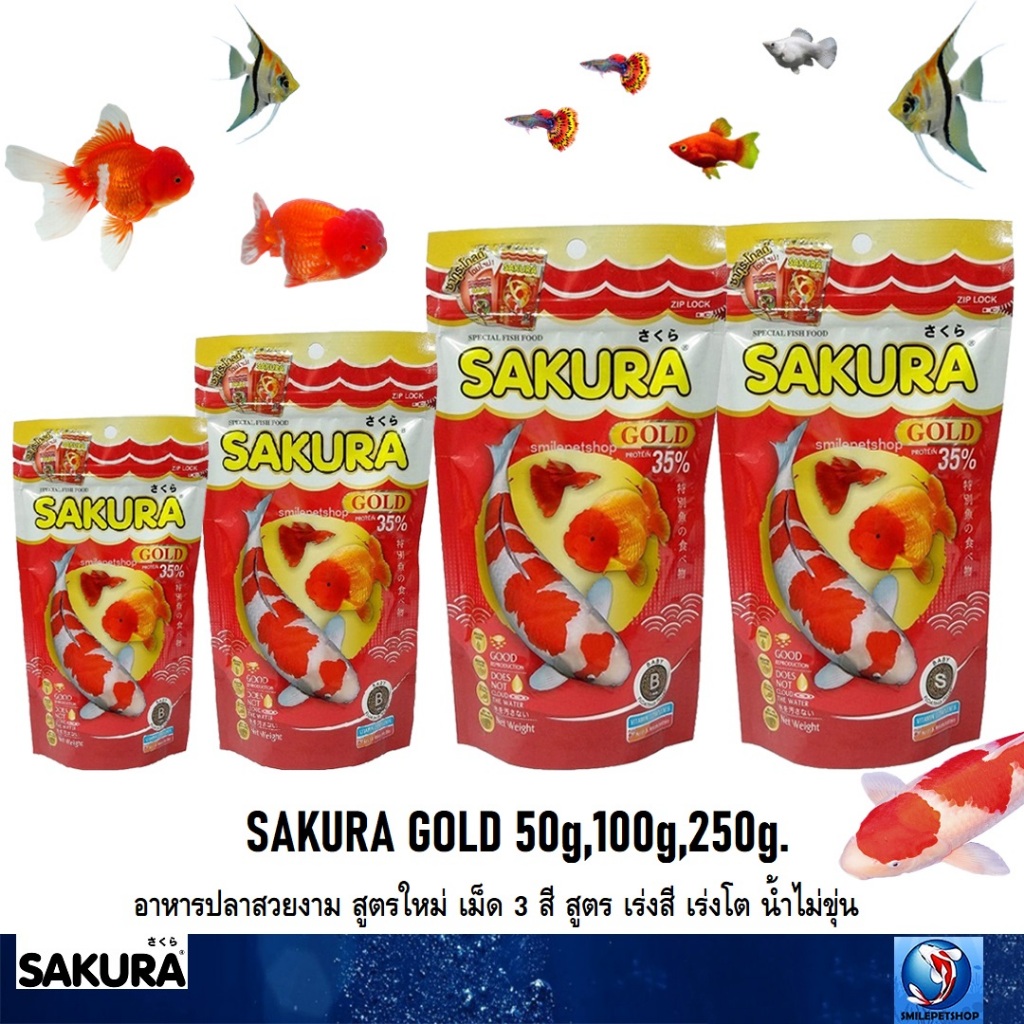 SAKURA GOLD 50g,100g,250g.(อาหารปลาสวยงาม สูตรใหม่ เม็ด 3 สี สูตร เร่ง ...