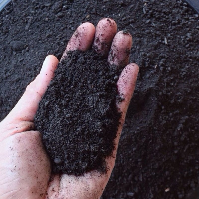 Premium Humus Compost 20kg. | Shopee Thailand