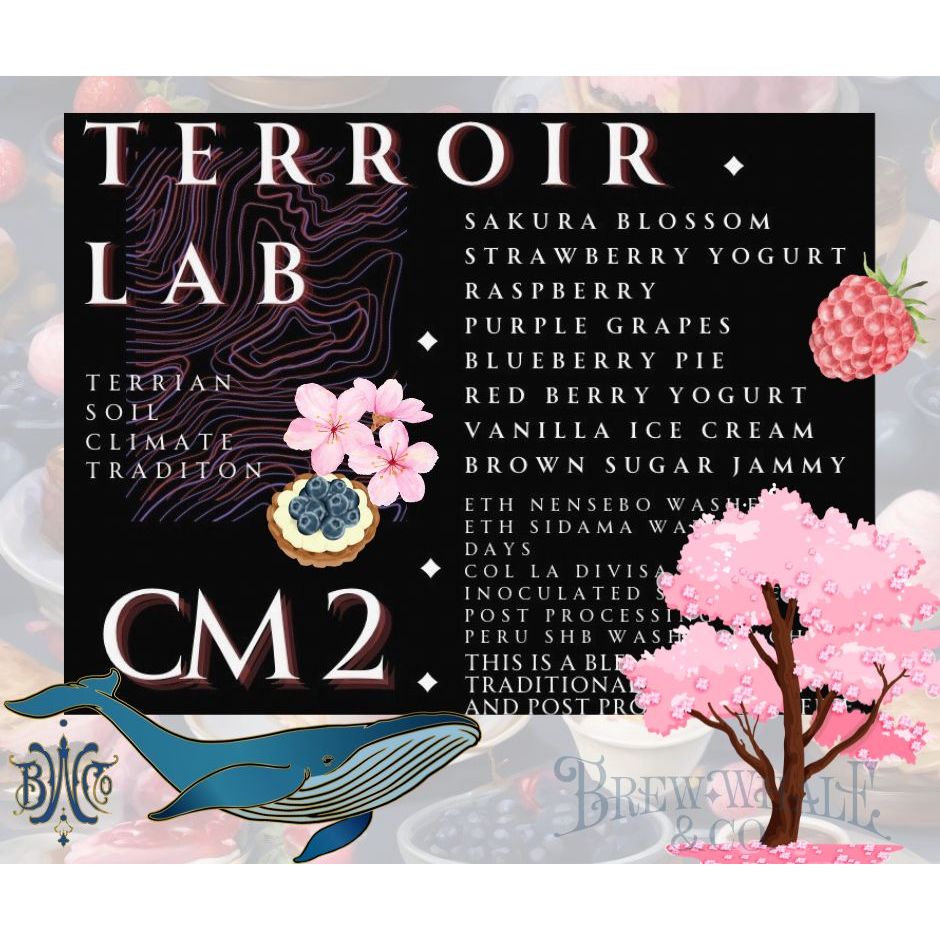 CM2 Terroir Lab. by Brewboy | Shopee Thailand