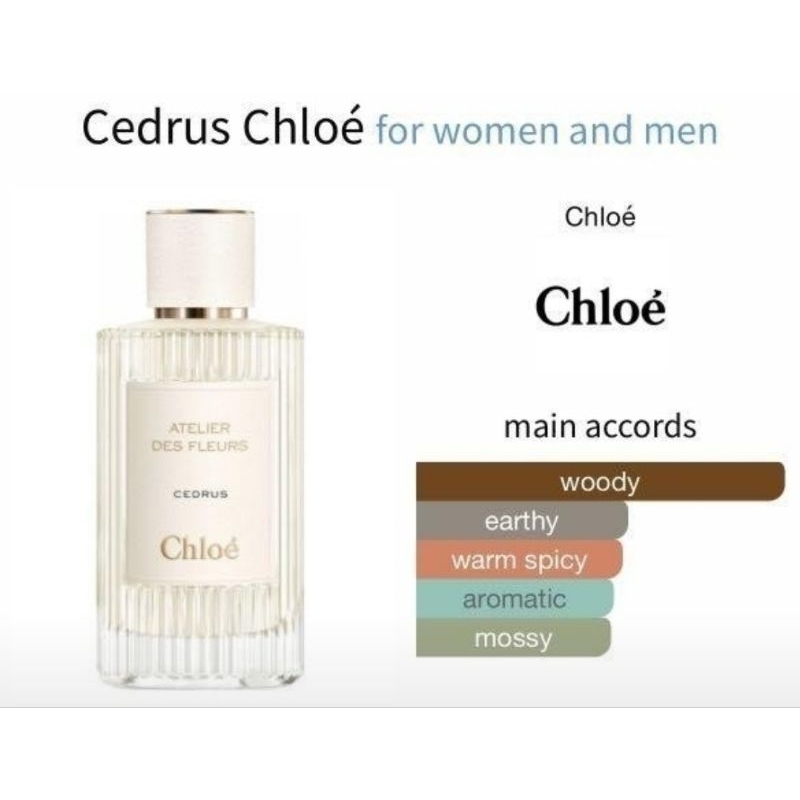 CHLOE CEDRUS EDP 150ML | Shopee Thailand