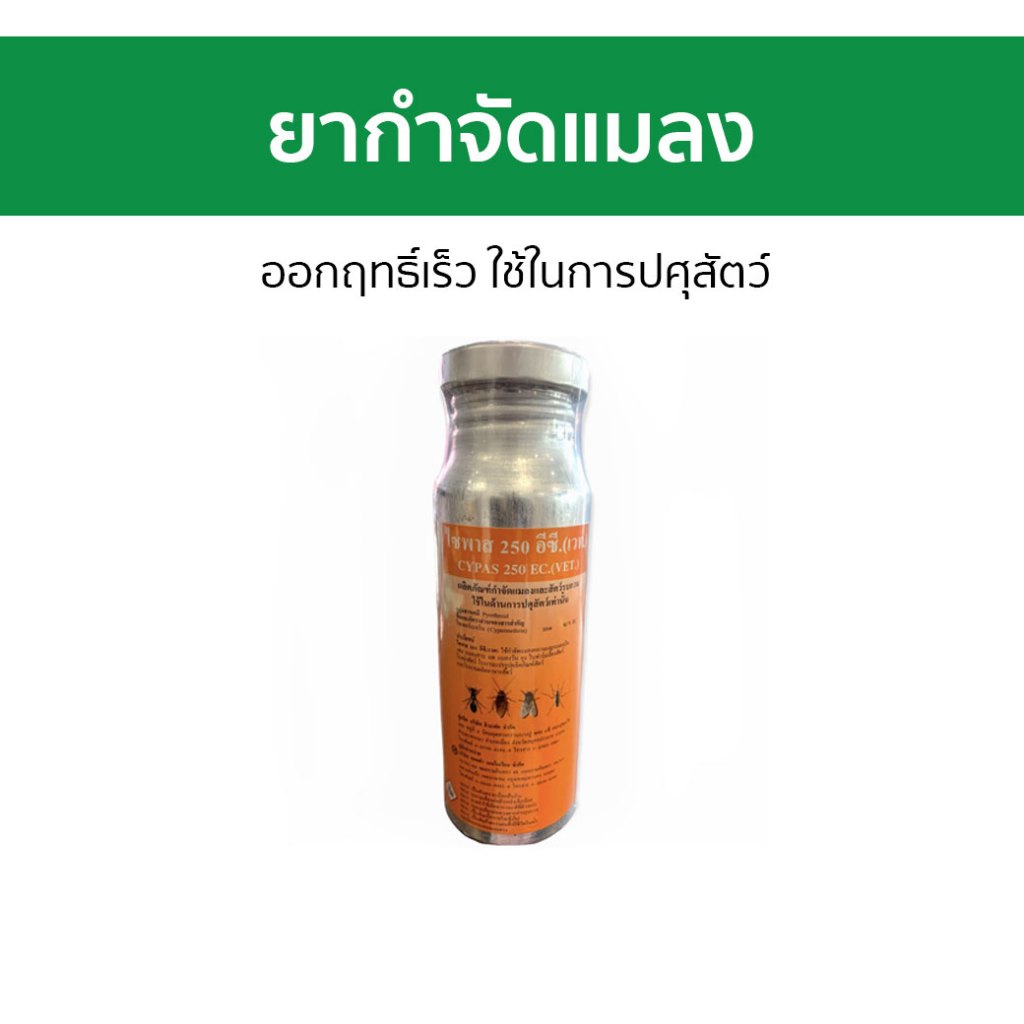 ยากำจัดแมลง Cypas ไซพาส 250 อีซี ออกฤทธิ์เร็ว ใช้ในการปศุสัตว์ - ยาฆ่า ...