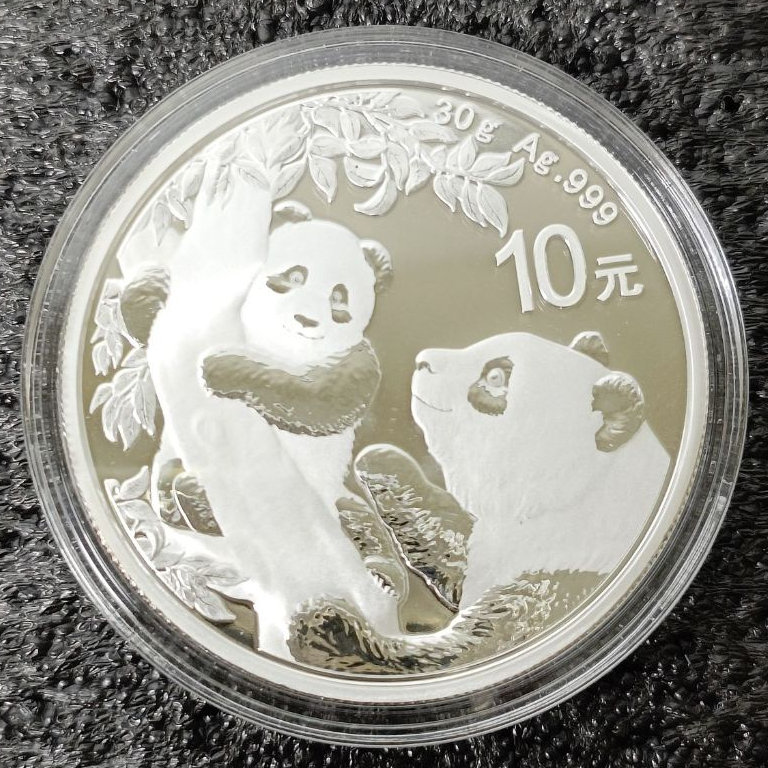 2021 China Panda Coin 10 Yuan 30g Ag.999 Panda Silver Coin | Shopee ...