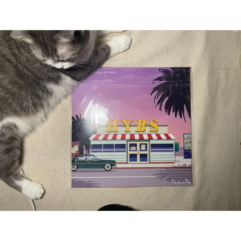 (ส่งฟรี) HYBS making steak vinyl (Pink) | Shopee Thailand