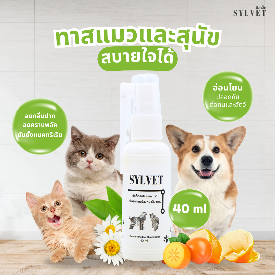 Sylvet สเปรย์ดับกลิ่นปากหมาแมว สลายหินปูน คราบพลัค สเปรย์ช่องปากสำหรับสุนัขและแมว 40ml. | Shopee ...