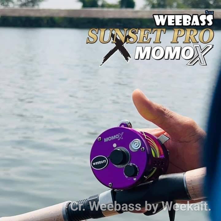 แท้💯 รอกตกปลา WEEBASS รุ่น MOMO-X (หมุนขวา) ทรงกลม สายหน้าดิน ตกบึก เฟืองทองเหลืองแท้ Casting ...