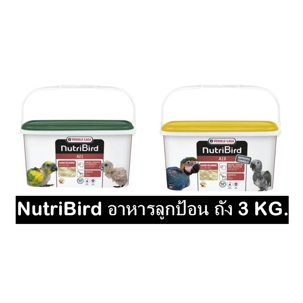 Nutribird A21 - A19 อาหารนกลูกป้อน สำหนับนกทั่วไป และนกที่ต้องการไขมัน ...