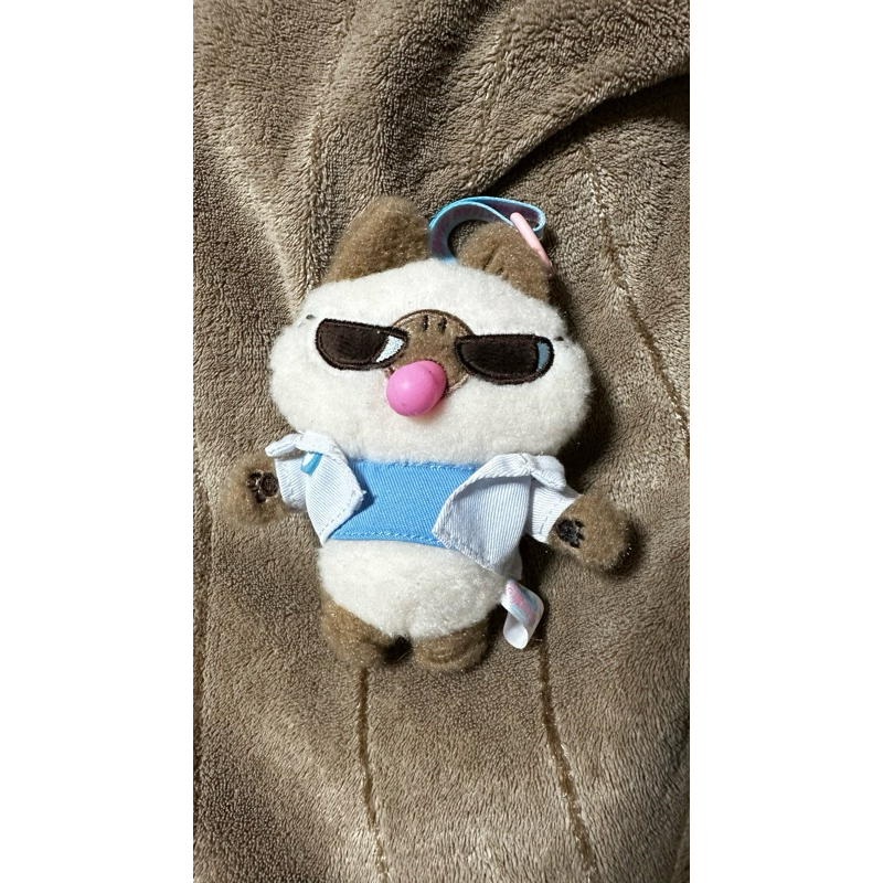 น้องแมว Azuki Cat doll กล่องสุ่ม arttoy ตุ๊กตา Azukisan Campus Plush ...