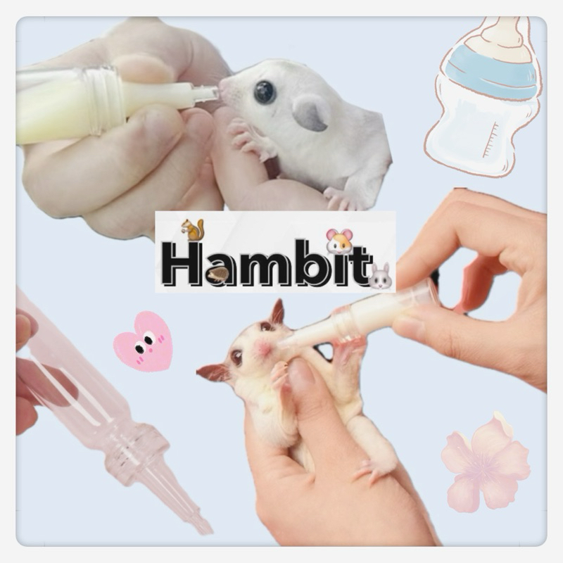 Hambit. ขวดนมชูการ์ไกรเดอร์ ขวดนมกระรอก | Shopee Thailand