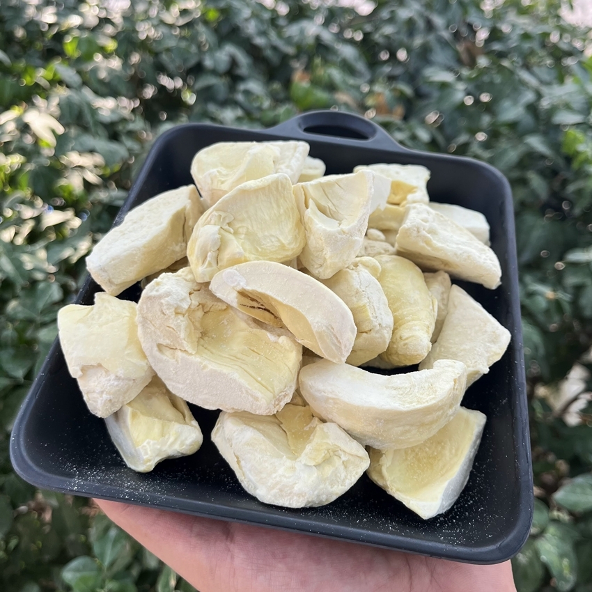 ทุเรียน (Durian) ฟรีซดราย/อบกรอบ พรีเมียม เกรด AAA หวาน กรอบ อร่อย ...