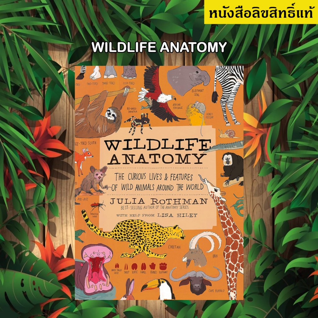 Wildlife Anatomy: The Curious Lives & Features of Wild Animals มือหนึ่ง ...