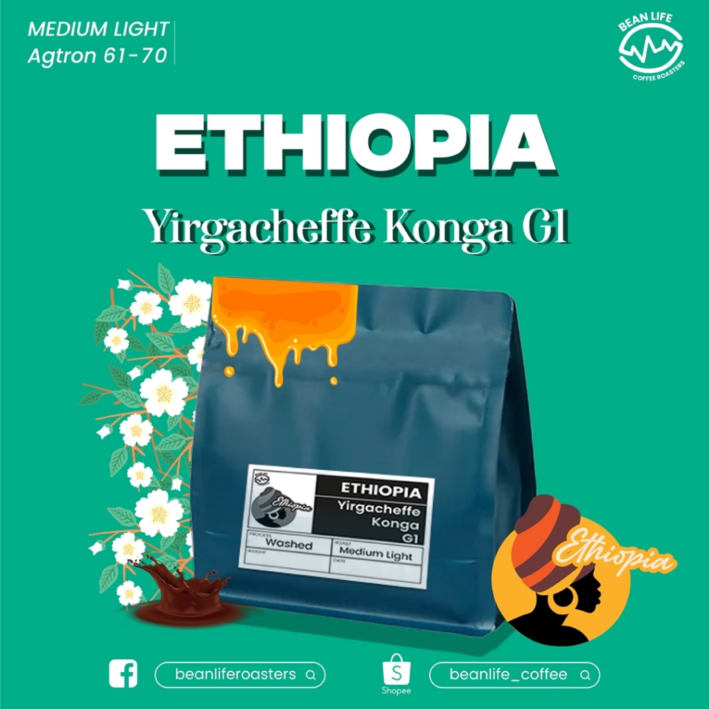 Ethiopia G1 Yirgacheffe Konga - Washed (Medium Light Roasted) | Shopee Thailand