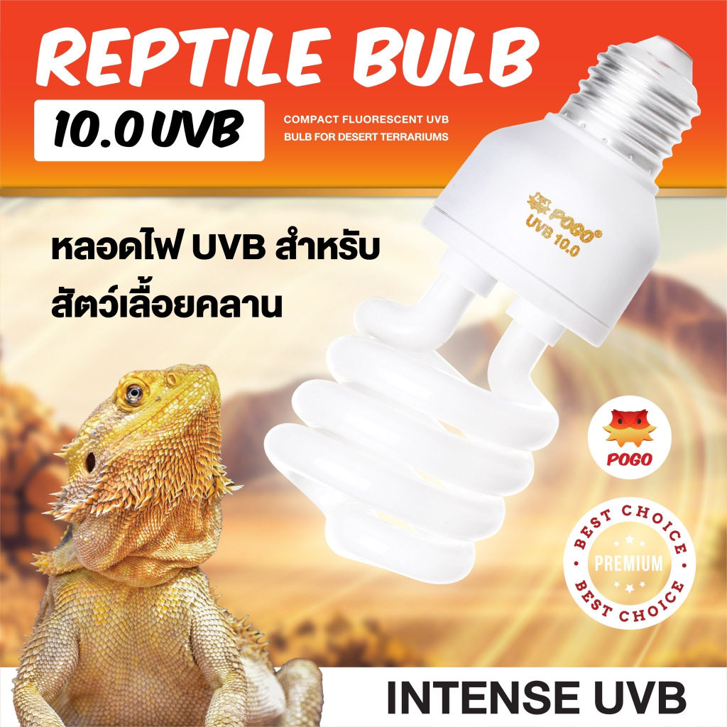 หลอดไฟสัตว์เลื้อยคลานทุกชนิด POGO Reptiles Light Compact Fluorescent ...
