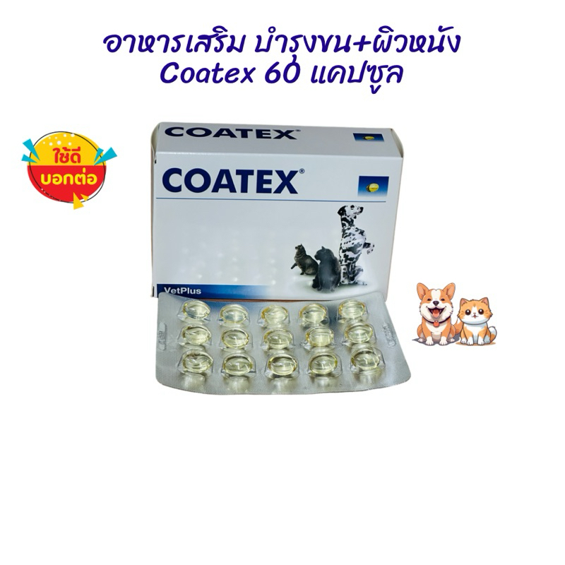 Coatex วิตามินบำรุงขน COATEX 60 แคปซูล (exp: 03/2026) | Shopee Thailand