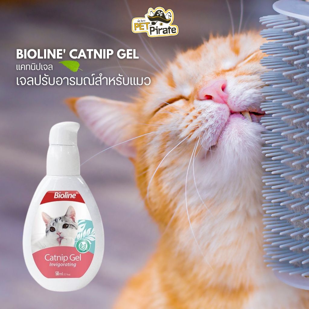 Bioline Catnip Gel แคทนิป เจลปรับอารมณ์แมว ช่วยให้แมวผ่อนคลายหรือป้ายบนของเล่นเพิ่มความสนุก 50 ...