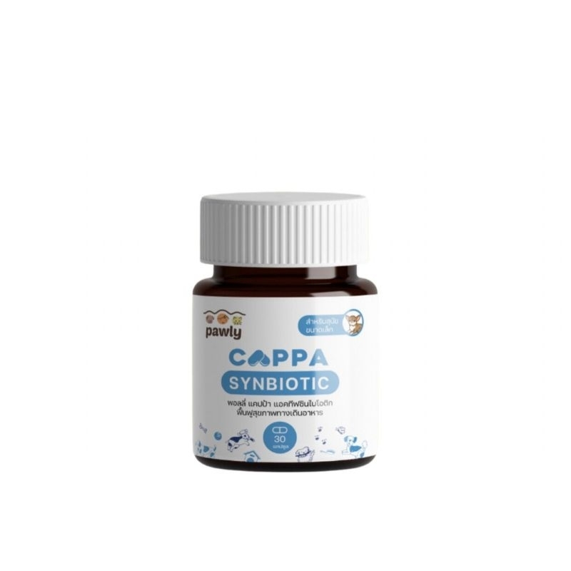 Pawly Cappa Synbiotic จุลินทรีย์ โพรไบโอติก พรีไบโอติก Probiotics รักษา ...