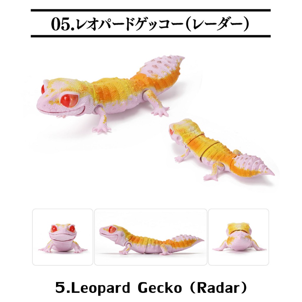 แยก Bandai Gashapon Ikimono Encyclopedia SMOOTH KNOB-TAILED GECKO ...