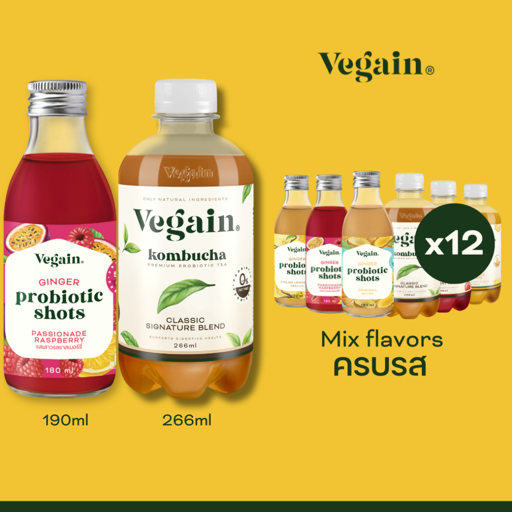 Vegain ชุดขับถ่ายดี ขิงหมัก Ginger Probiotic Shot (180ml.) | ชาหมัก ...