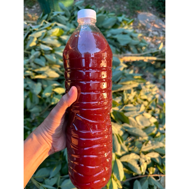 จุลินทรีย์สังเคราะห์แสง(PSB)จากไข่ไก่~350ml | Shopee Thailand