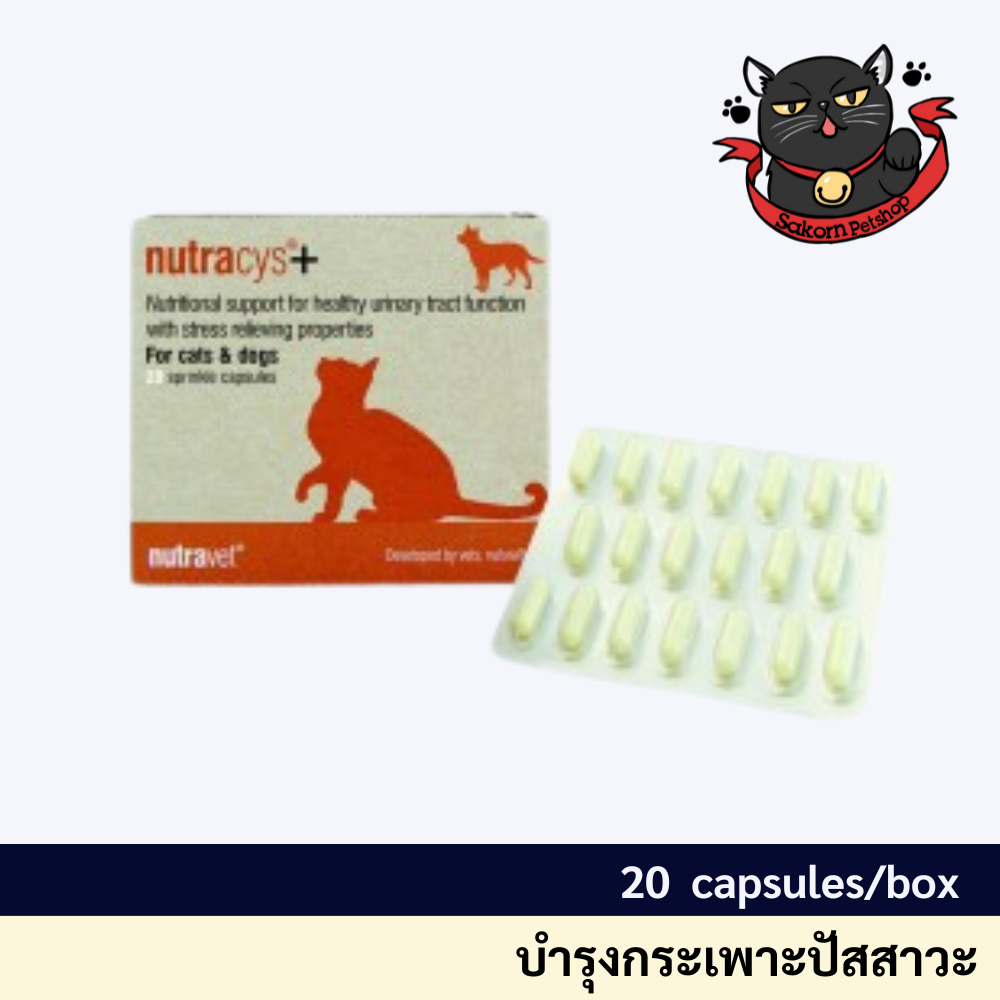 Nutracys+ 20 capsules/box อาหารเสริมบำรุงกระเพาะปัสสาวะ สำหรับสุนัขและ ...