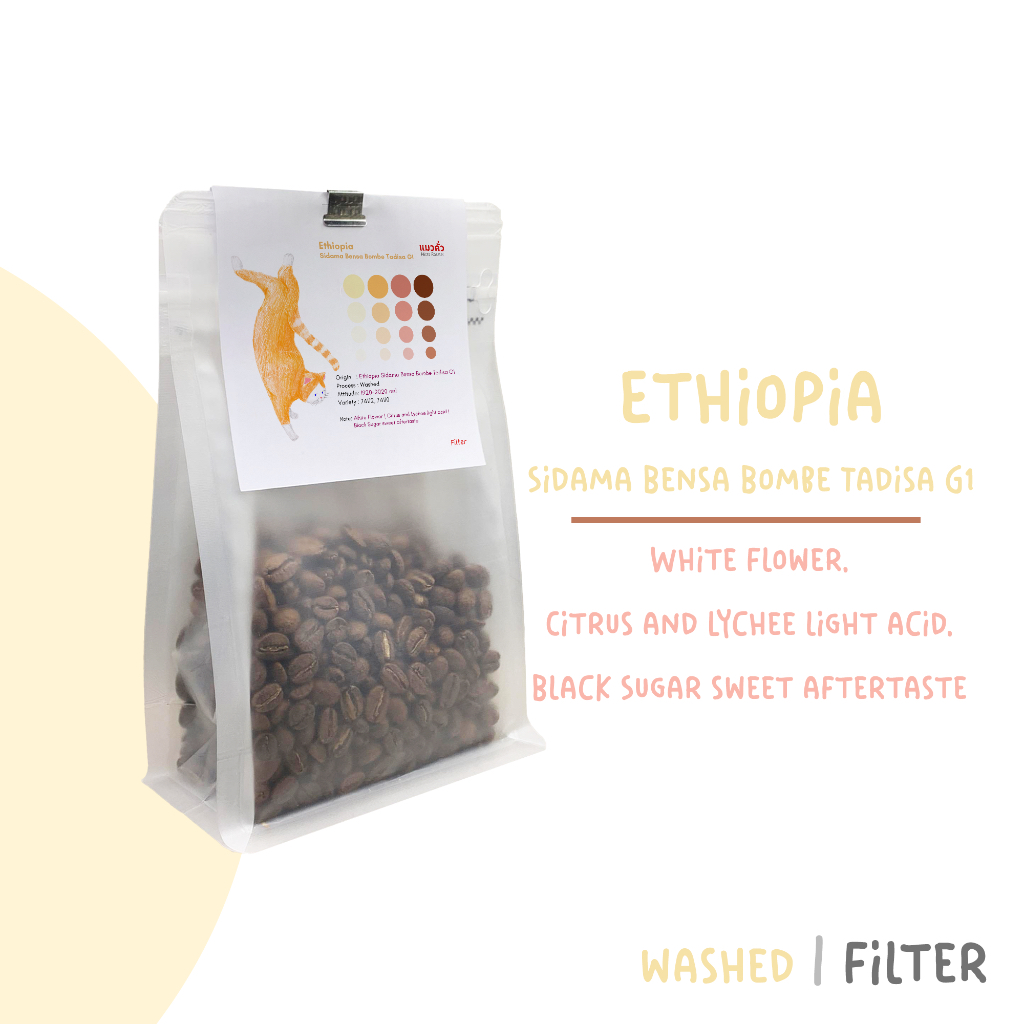 [แมวคั่ว] เมล็ดกาแฟ Ethiopia Sidama Bensa Bombe Tadisa G1, Washed ...